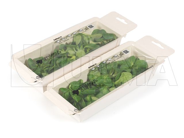 Vegetables, herbs, fruits and dry fruits packaging in traysealed carton ...